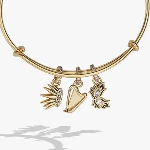ALEX AND ANI A Court Of Thorns And Roses Dread Trove Charm Bangle