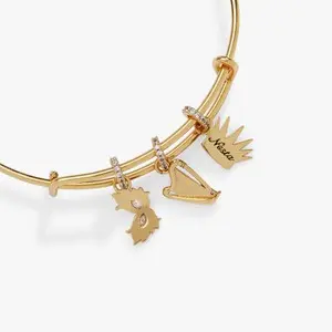 ALEX AND ANI A Court Of Thorns And Roses Dread Trove Charm Bangle