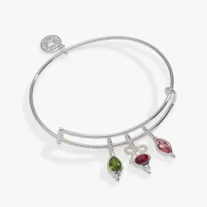 ALEX AND ANI Ornaments Multi Charm Bangle - Silver