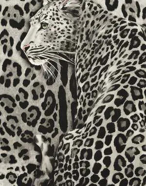 Dolce & Gabbana Leopard- Silk Twill Foulard