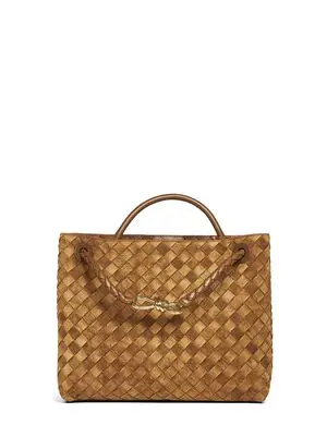 Bottega Veneta Dark Caramel 20 Andiamo Medium Handbag - Multicolor
