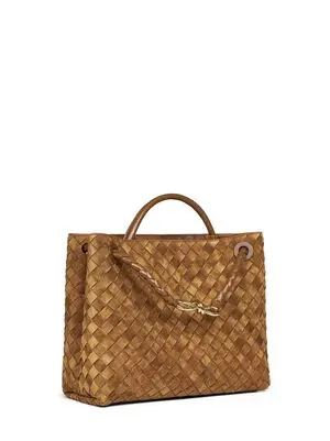 Bottega Veneta Dark Caramel 20 Andiamo Medium Handbag - Multicolor