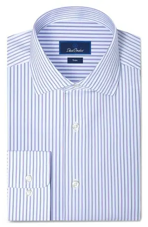 David Donahue Trim Fit Stripe Cotton Dobby Dress Shirt - Blue/berry/multi