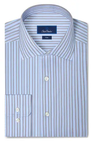 David Donahue Trim Fit Stripe Cotton Dobby Dress Shirt - Sky/dune