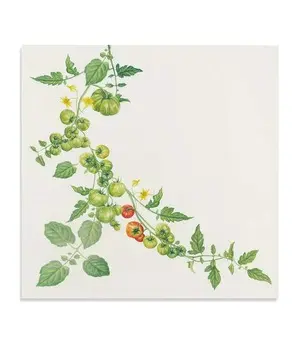 SUMMERILL & BISHOP Linen Tomato Verte Napkin