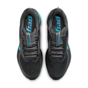 Nike Pegasus Premium Road Running Shoes
