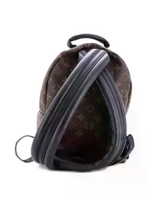 LOUIS VUITTON Palm Springs Monogram Canvas Pm Backpack