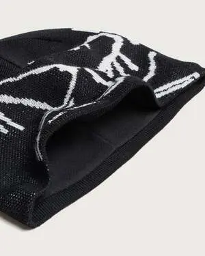 Arc'teryx Bird Head Toque Beanie