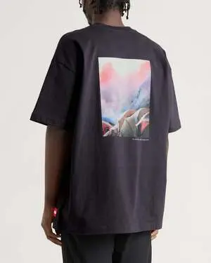 The North Face Red Box Graphic T-shirt