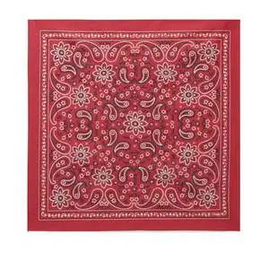 DRAKE'S Classic Paisley Bandana