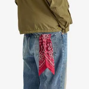 DRAKE'S Classic Paisley Bandana