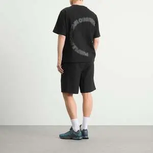 PURPLE MOUNTAIN OBSERVATORY Orbital T-shirt
