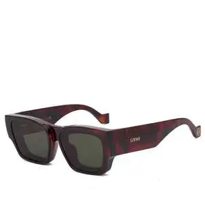 Loewe Paula's Ibiza Wayfarer Sunglasses - Havana/green
