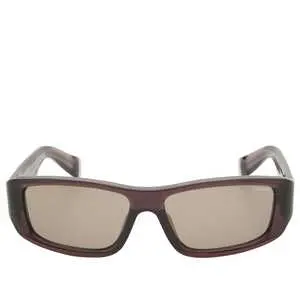 A. SOCIETY X New Era Scotty Sunglasses - Brown