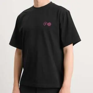 PURPLE MOUNTAIN OBSERVATORY Ascend T-shirt