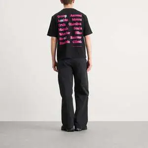 PURPLE MOUNTAIN OBSERVATORY Ascend T-shirt