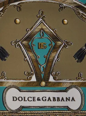 Dolce & Gabbana Dolce Gabbana Patterned Scarf