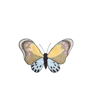 Valentino Garavani Flutterby Brooch - Multicolor
