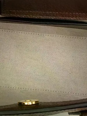 Gucci 2016-2026 Mini Jumbo Gg Canvas Bamboo Diana Satchel