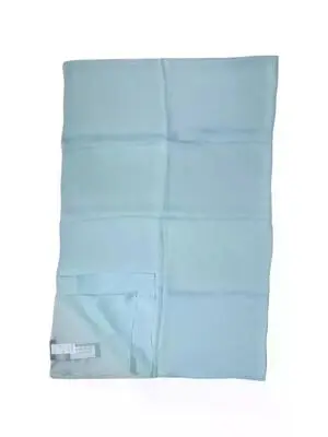 Dolce & Gabbana Sheer Scarf - Blue