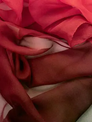 ELIZABETTA Sophia Ombré Silk Scarf - Red