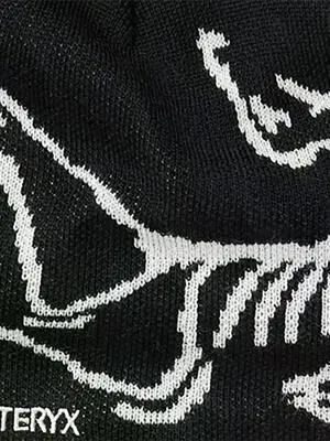 Arc'teryx Bird Head Beanie Hat