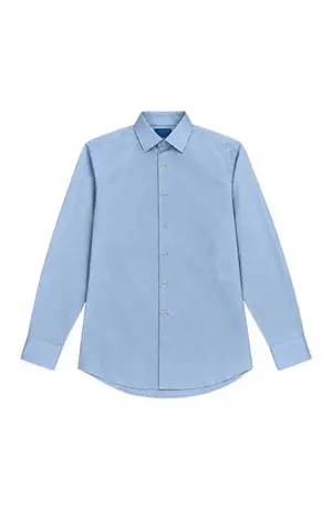 Robert Talbott Kingsley Twill Shirt - Light Blue