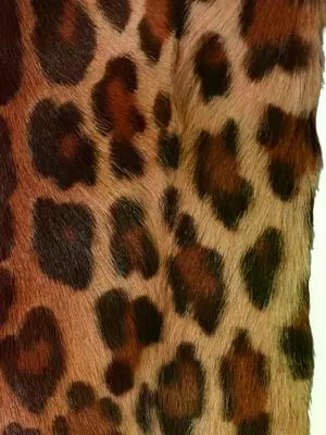 Dolce & Gabbana Leopard-print Scarf