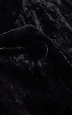 THE ROW Luan Velvet Coat