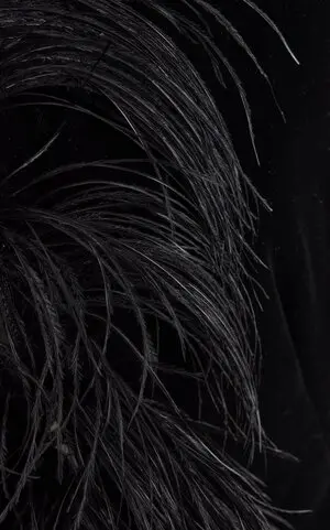 THE ROW Eunice Feathered Velvet Jacket