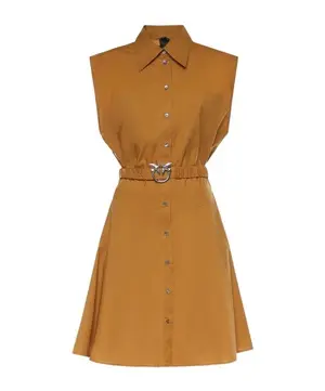 Pinko Belted Shirt Dress - Brown