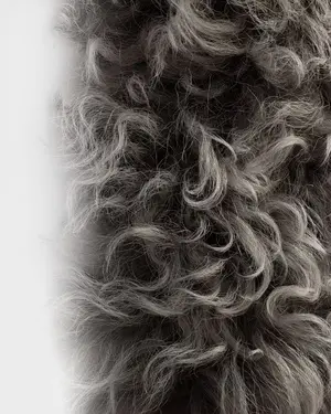 Prada Shearling Collar