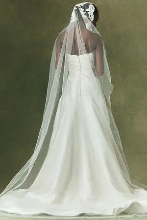 Jenny Yoo Hailey Lace Cathedral Veil