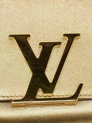 LOUIS VUITTON 2013 Large Louise Leather Clutch Bag