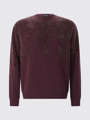 Etro Chenille Velvet Crew-neck Jumper With Embroidery And Dropped Shoulders