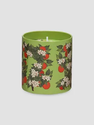 Dolce & Gabbana Wild Jasmine Scented Candle