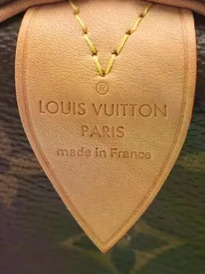 LOUIS VUITTON 2021 Speedy 25 Monogram Tote Bag