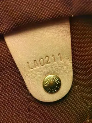 LOUIS VUITTON 2021 Speedy 25 Monogram Tote Bag
