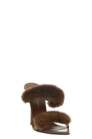 GIUSEPPE ZANOTTI Intriigo' Mule