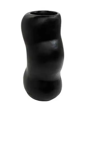 Dinosaur Designs Medium Valley Vase - Black
