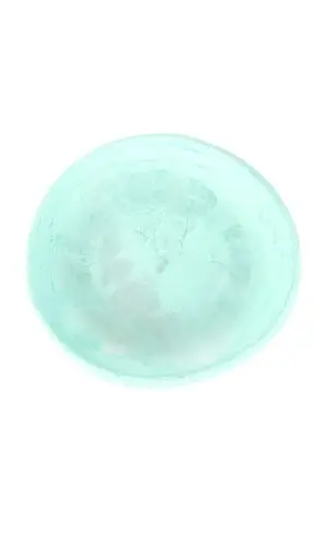 Dinosaur Designs Small Earth Bowl - Mint