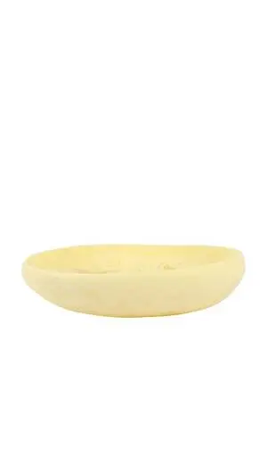 Dinosaur Designs Medium Earth Bowl In Yellow