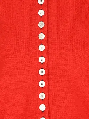 Celine Twinset Cardigan In Heritage Cashmere