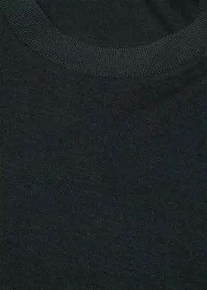 Loro Piana Philion T-shirt