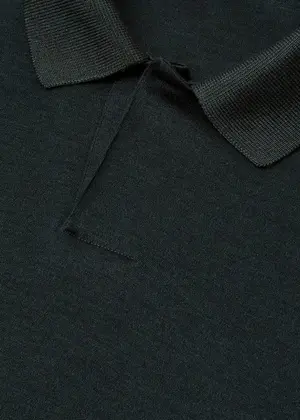 Loro Piana Philion Polo Shirt
