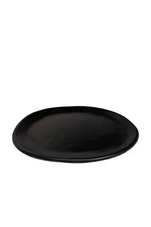 Dinosaur Designs Large Rock Platter