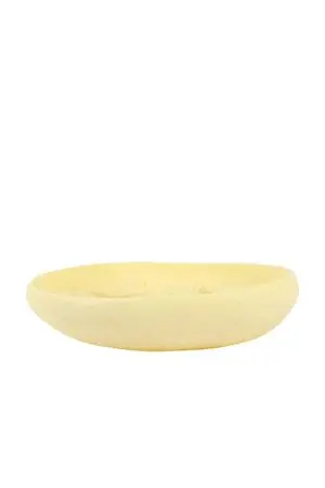 Dinosaur Designs Medium Earth Bowl In Yellow