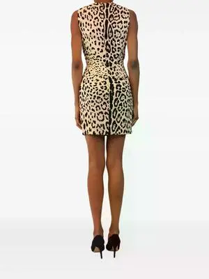Dolce & Gabbana Leopard-print Mini Dress