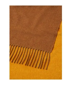 Loro Piana Two-tone Scarf
