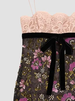 Valentino Garavani Short Embroidered Organza Dress
